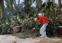 Gilligans GIFs - Get the best gif on GIFER