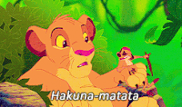 Timon GIFs - Get the best gif on GIFER