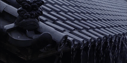 Techo GIFs - Get the best gif on GIFER