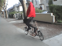 Sideways GIFs - Get the best gif on GIFER