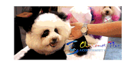 Firewall GIFs - Get the best gif on GIFER