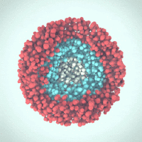 Agreeable GIFs - Get the best gif on GIFER