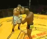 Knockouts GIFs - Get the best gif on GIFER