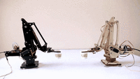 Arm GIFs - Get the best gif on GIFER