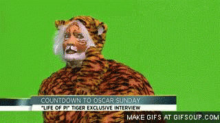 Sam the lion GIF - Conseguir o melhor gif em GIFER