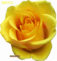 Brillant GIFs - Get the best gif on GIFER