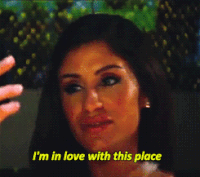 Osman GIFs - Get the best gif on GIFER