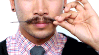 Mustached GIFs - Get the best gif on GIFER