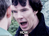 Divided GIFs - Get the best gif on GIFER