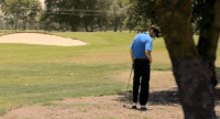 Golfers GIFs - Get the best gif on GIFER