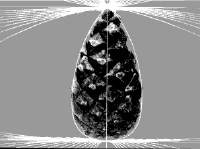 Foundation GIFs - Get the best gif on GIFER