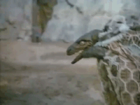 Cloak GIFs - Get the best gif on GIFER