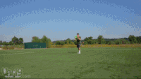 Sportsball GIFs - Get the best gif on GIFER