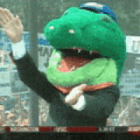 Alligator GIFs - Get the best gif on GIFER