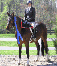 Riding GIFs - Get the best gif on GIFER