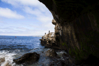 Tide GIFs - Get the best gif on GIFER