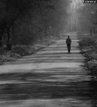 Spacer GIFs - Get the best gif on GIFER