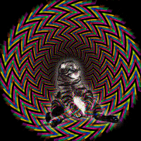 Crunk GIFs - Get the best gif on GIFER