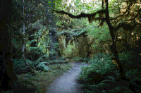 Hoh GIFs - Get the best gif on GIFER