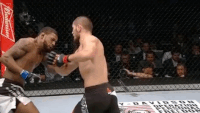 Khabib GIFs - Get the best gif on GIFER