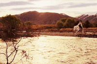 Gondor GIFs - Get the best gif on GIFER