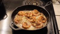 Shrimp GIFs - Get the best gif on GIFER