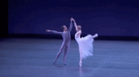Partnering GIFs - Get the best gif on GIFER