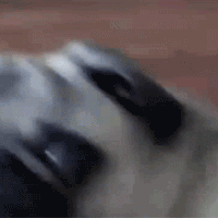 Suspense GIFs - Get the best gif on GIFER