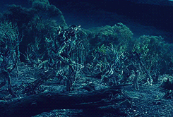 Ents GIFs - Get the best gif on GIFER