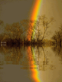 Landscape GIFs - Get the best gif on GIFER