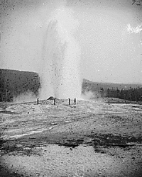 Yellowstone GIFs - Get the best gif on GIFER