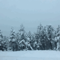 Neve GIFs - Get the best gif on GIFER