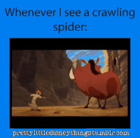 Pumbaa GIFs - Get the best gif on GIFER