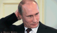Putin GIFs - Get the best gif on GIFER