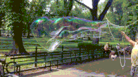 Bulles GIFs - Obtenez le meilleur gif sur GIFER