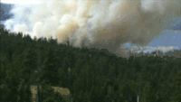 Wildfire GIFs - Get the best gif on GIFER