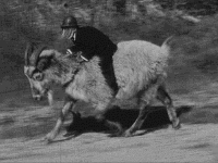 Riding GIFs - Get the best gif on GIFER