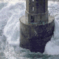 Resilience GIFs - Get the best gif on GIFER