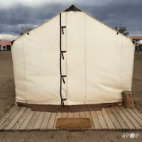 Marfa GIF - Conseguir o melhor gif em GIFER