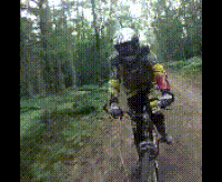 Riding a bike GIFs - Get the best gif on GIFER