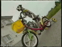 Paperboy GIFs - Get the best gif on GIFER