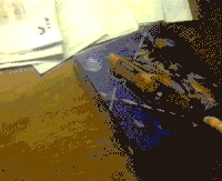 Trapper GIFs - Get the best gif on GIFER