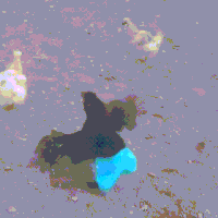 Hen GIFs - Get the best gif on GIFER