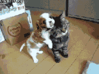 Vicious GIFs - Get the best gif on GIFER