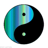 Yang GIFs - Get the best gif on GIFER