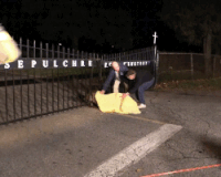 Fence GIFs - Get the best gif on GIFER