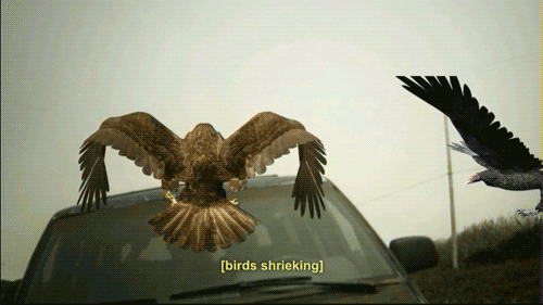 Birdemic GIFs - Get the best gif on GIFER