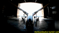 Rahhh GIFs - Get the best gif on GIFER