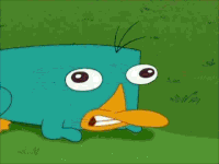 Grrr GIFs - Obtenez le meilleur gif sur GIFER