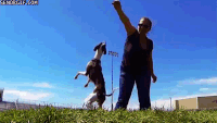 The matrix GIFs - Get the best gif on GIFER